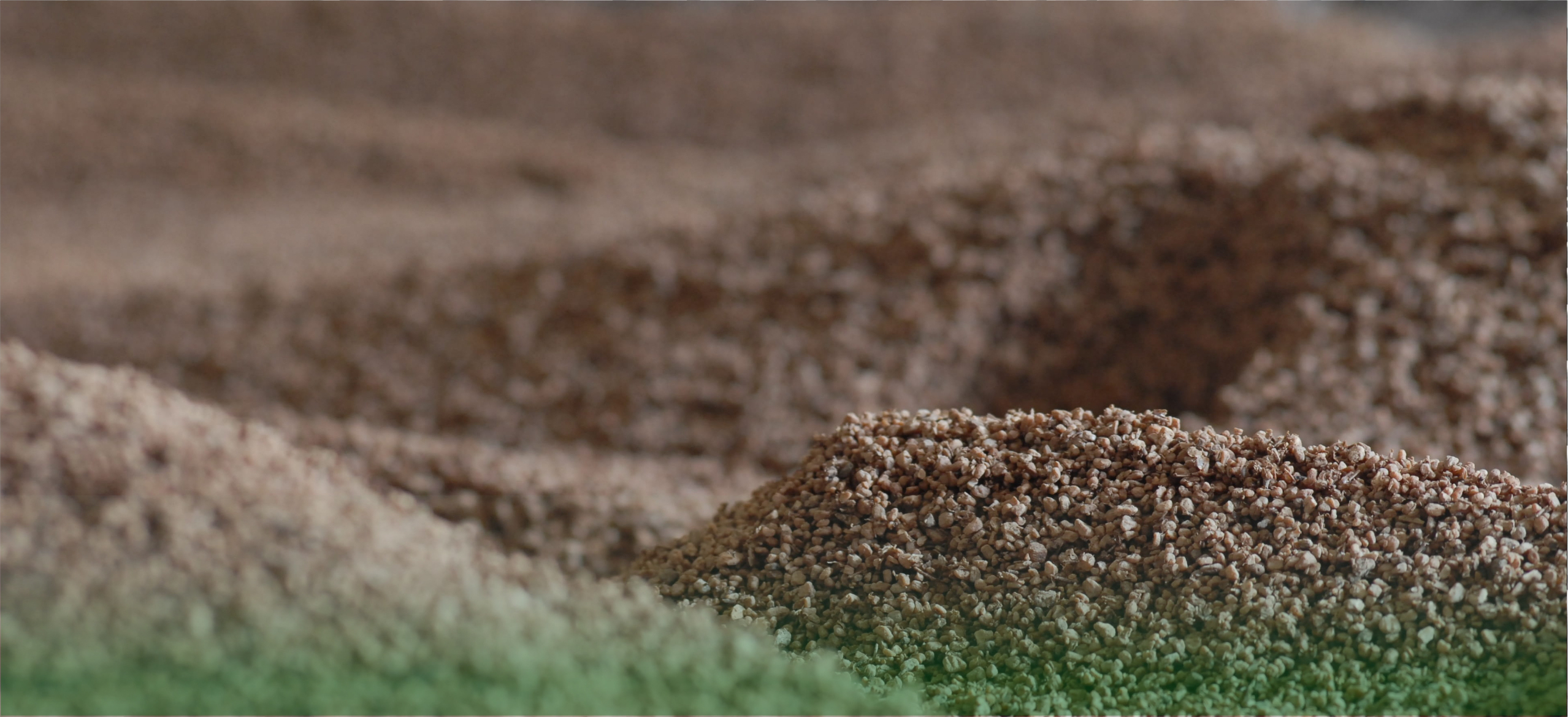 Utilizing Olive Biomass: Sustainable Solutions for Energy and Agriculture